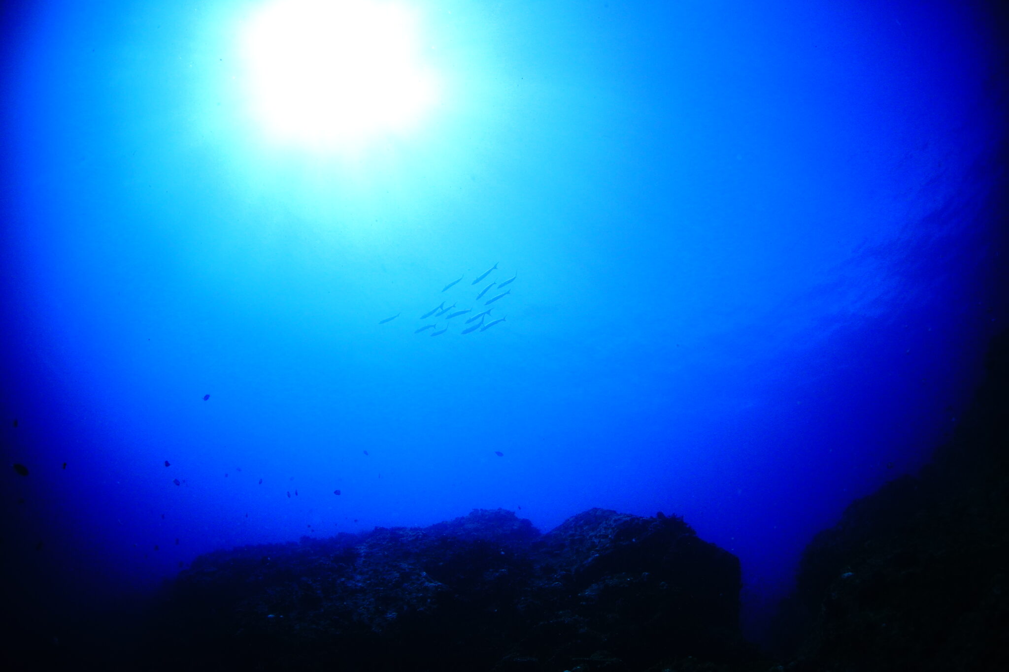 2025年7月17日 ミーバイ曽根