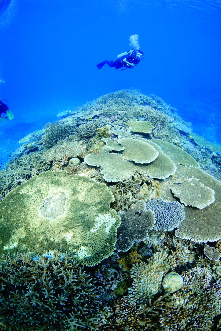 2025年7月21日 いぜちゃま、トゲトゲ山、コーラルウェイ